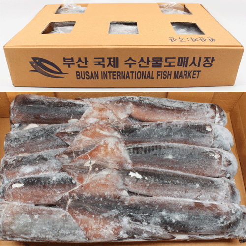 Surume Ika - Importer, Supplier, and Wholesaler in the USA