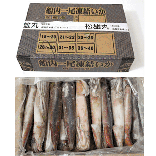 Surume Ika - Importer, Supplier, and Wholesaler in the USA